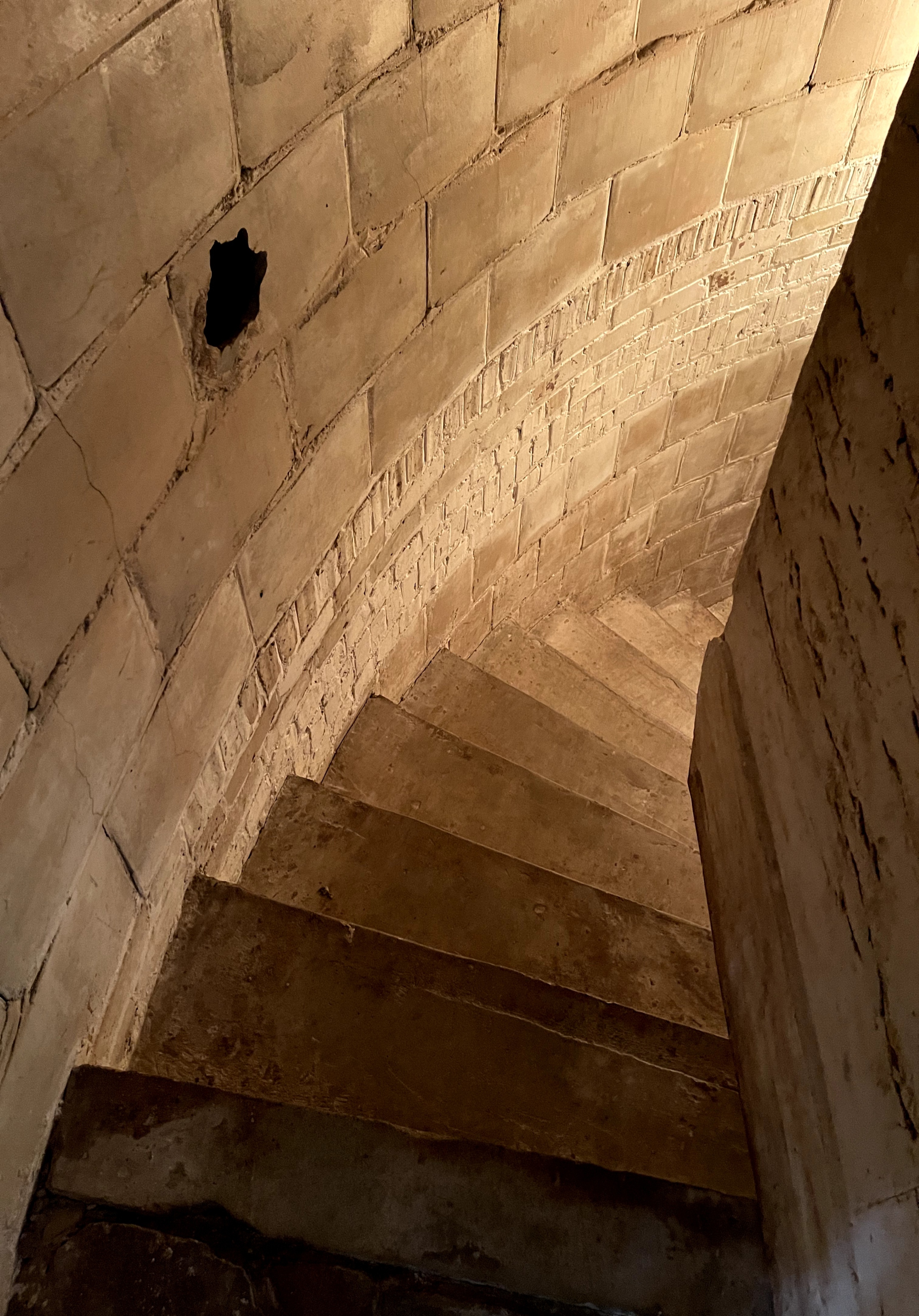 Travels. – Susan Marie Molloy